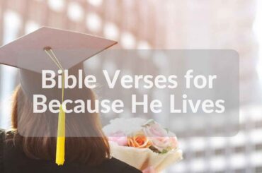 15 Best Bible Verses For Backsliders – Bible Verses of the day