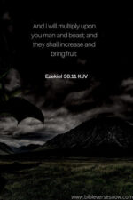 What is divine settlement according to the Bible? – Bible Verses of the day