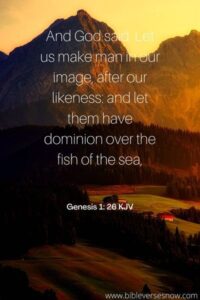 Intuition In The Bible | Discover 13 Scriptural References