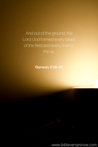 Zoe in the bible| What does zoe life mean in the bible? – Bible Verses ...