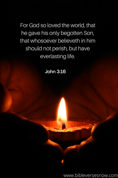 Zoe In The Bible: Discover 15 Bible Verses About Zoe