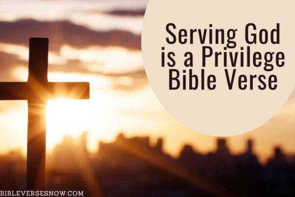 There is no victory without a battle Bible verse – Bible Verses of the day