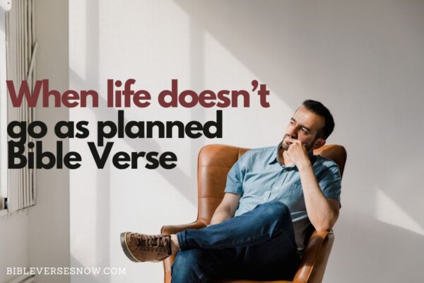 27 Bible verses on determination – Bible Verses of the day