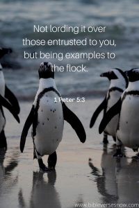 Bible Verses on Being an Example – Bible Verses of the day