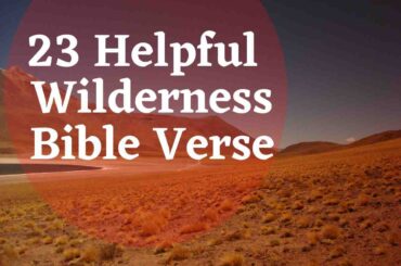 Bible Verses on Being an Example – Bible Verses of the day