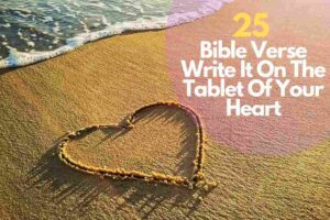 65 Powerful Morning Devotion Scriptures – Bible Verses of the day