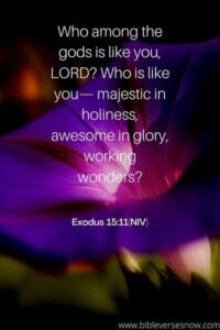 19 Bible verses for divine helpers – Bible Verses of the day