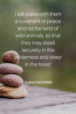 9 Bible Verses About Wilderness – Bible Verses of the day