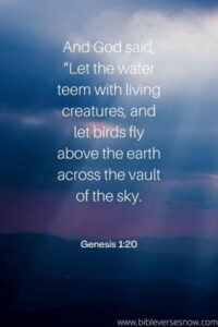 23 Important Bible Verses On Birds – Bible Verses of the day