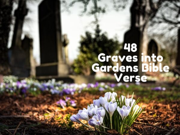 50 Best Loving Memory Death Bible Verses For Funerals – Bible Verses of ...