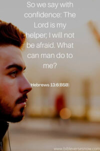 19 Bible verses for divine helpers – Bible Verses of the day