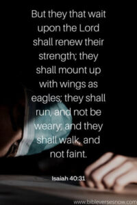 23 Important Bible Verses On Birds – Bible Verses of the day