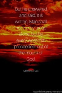 For it is Written Bible Verse – Bible Verses of the day