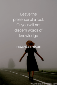 Bible Verse on Calling Someone a Fool – Bible Verses of the day