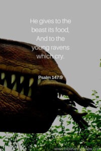 23 Important Bible Verses On Birds – Bible Verses of the day