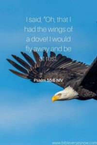 17 Inspiring Bible Verses For Pilots – Bible Verses of the day