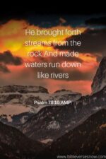 9 Bible Verses About Wilderness – Bible Verses of the day
