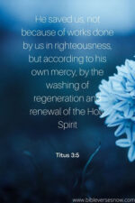 35 Bible Verses On Regeneration With Detailed Explanations – Bible ...