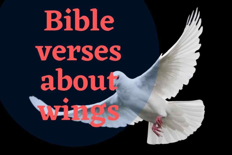 10 Inspiring Bible Verses About Wings