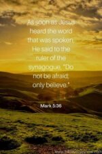 28 Powerful Good Night Bible Verse – Bible Verses of the day