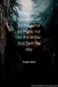 13 Important Bible Verses About Arrows – Bible Verses of the day