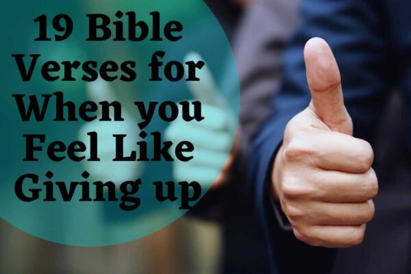 65 Best Random Bible Verse Of The Day KJV – Bible Verses of the day