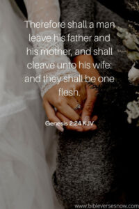 Bible verse about man providing for his wife – Bible Verses of the day