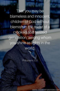 Bible verses for manifestation – Bible Verses of the day