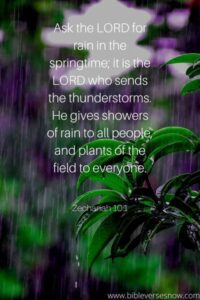 40 Best Bible Verses For Spring – Bible Verses of the day