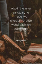 33 Best Bible Verses On Wood (Must Read)