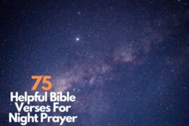 75 Helpful Bible Verses For Night Prayer – Bible Verses of the day