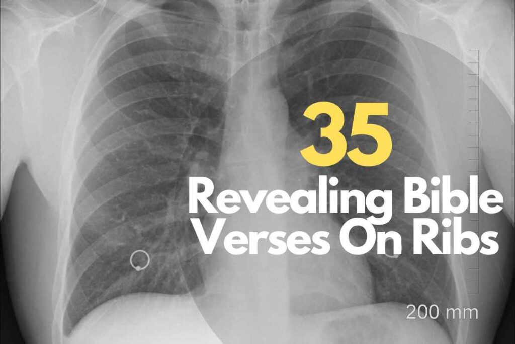 Bible Verses on Ribs – Bible Verses of the day