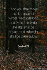 33 Bible Verses On Wood – Bible Verses of the day