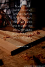 33 Bible Verses On Wood – Bible Verses of the day