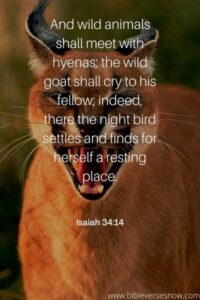 What Are Sea Cows In The Bible (31 Best Scriptures) – Bible Verses of ...