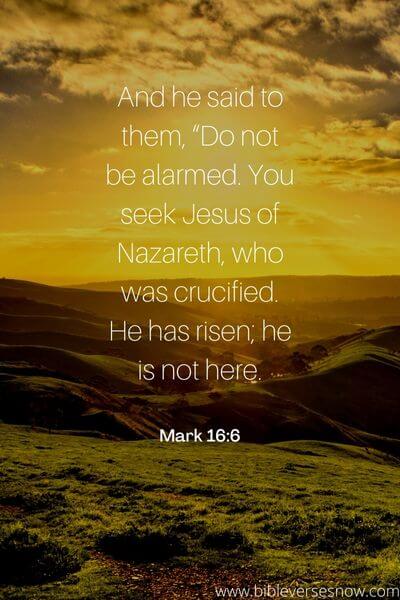 37 Best Bible Verses About Easter Sunday