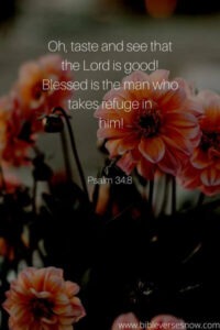49 Your Goodness is Running after Me Bible Verse – Bible Verses of the day