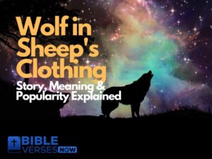 Wolf in Sheep’s Clothing: Story, Meaning & Popularity Explained – Bible ...