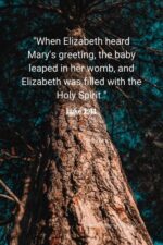 75 Best Pro life bible verses – Bible Verses of the day