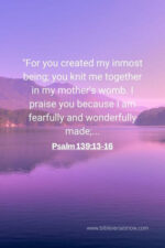 75 Best Pro life bible verses – Bible Verses of the day