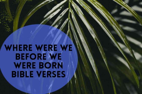 Where Were We Before We Were Born Bible Verses – Bible Verses of the day