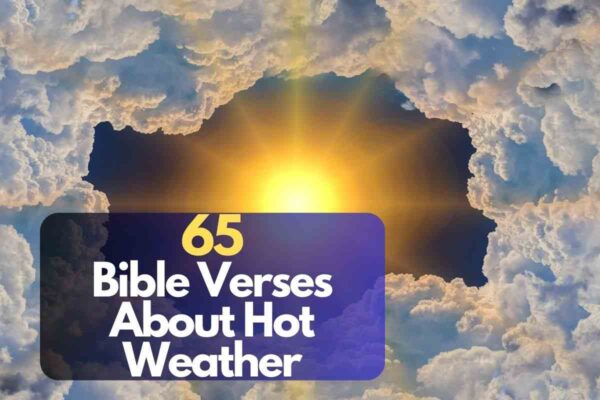 65 Bible Verses About Hot Weather – Bible Verses of the day
