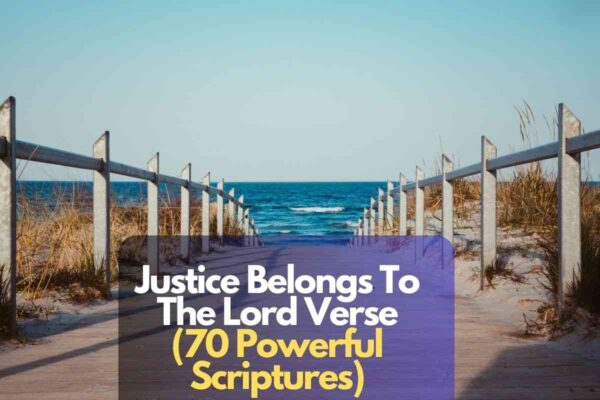 50 Bible Verses About Hope For The Future – Bible Verses of the day