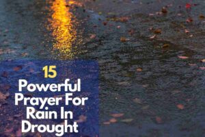 15 Powerful Prayer For Rain In Drought – Bible Verses of the day