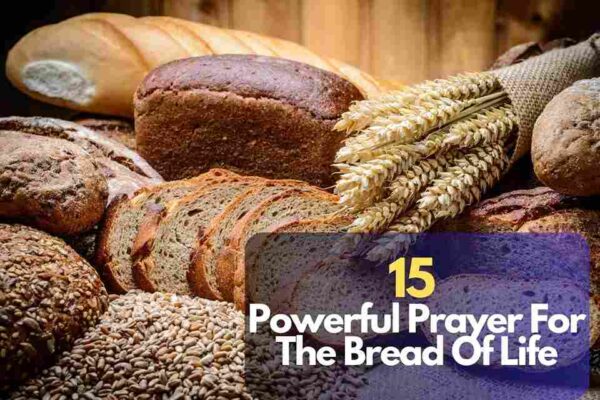 15 Powerful Prayer For The Bread Of Life – Bible Verses of the day