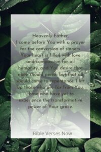 15 Prayer For The Conversion Of Sinners – Bible Verses of the day
