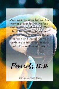 15 St Francis Prayer To Animals – Bible Verses of the day