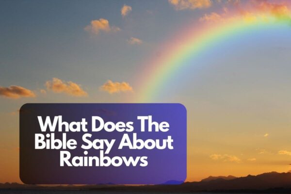 65 Powerful Morning Devotion Scriptures – Bible Verses of the day