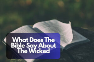 What Does The Bible Say About The Wicked – Bible Verses of the day
