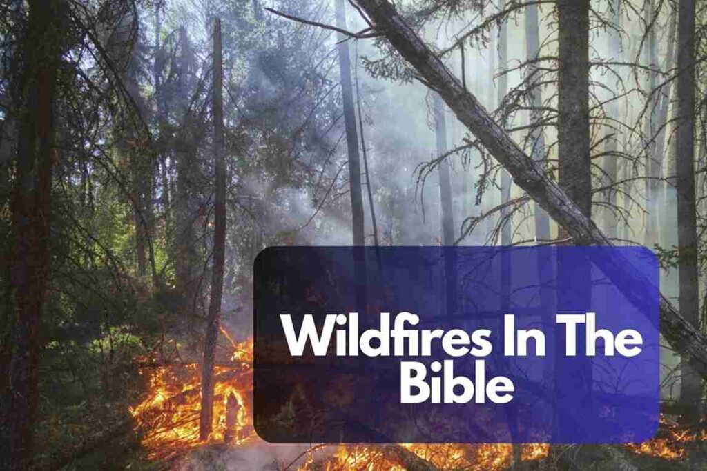 35 Inspiring Scriptures On Endurance And Perseverance – Bible Verses of ...